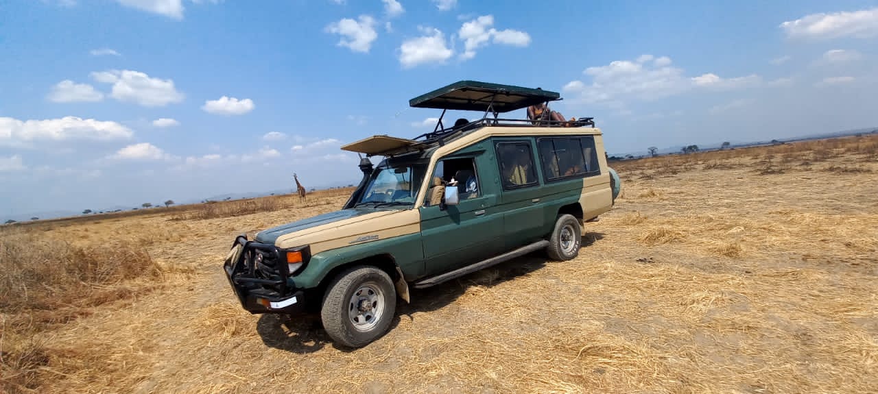 KK tours Safaris - Tours | Travels | Taxi | Safari | Tanzania
